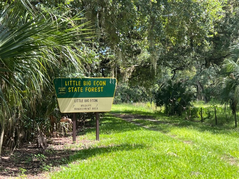 Parks guide – Oviedo Community News