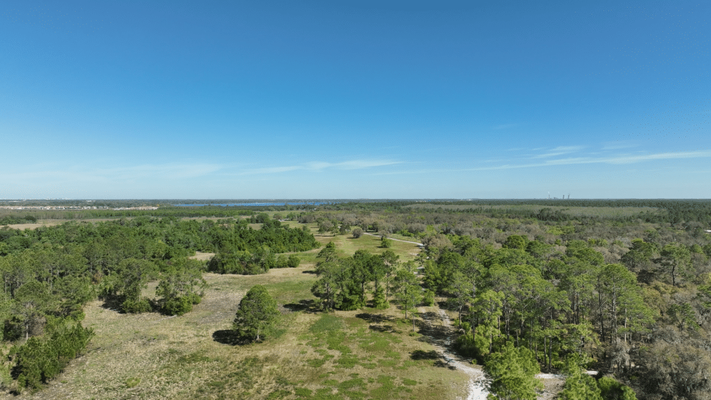 Why the Florida Wildlife Corridor couldn't save Split Oak Forest ...